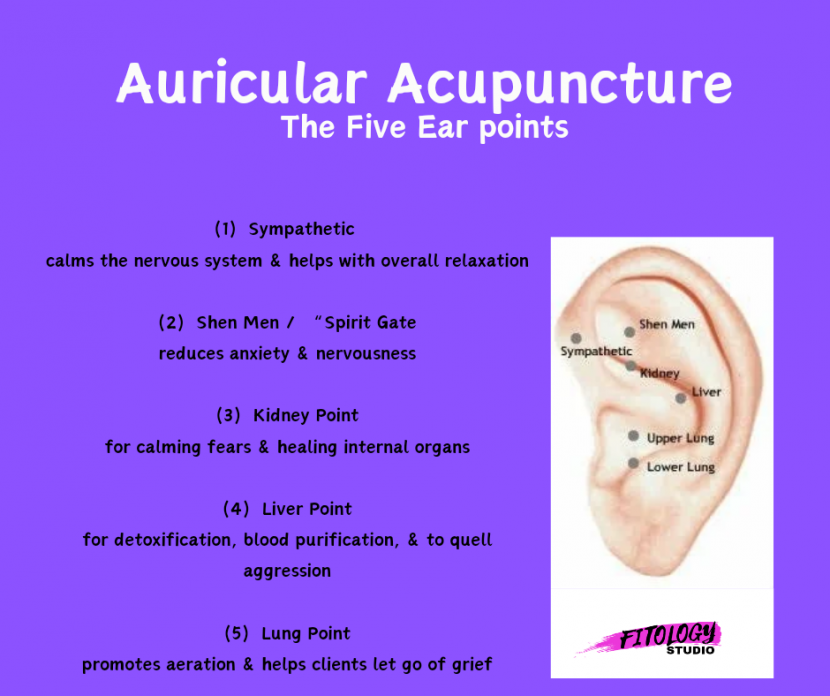 Blog : fitologystudio